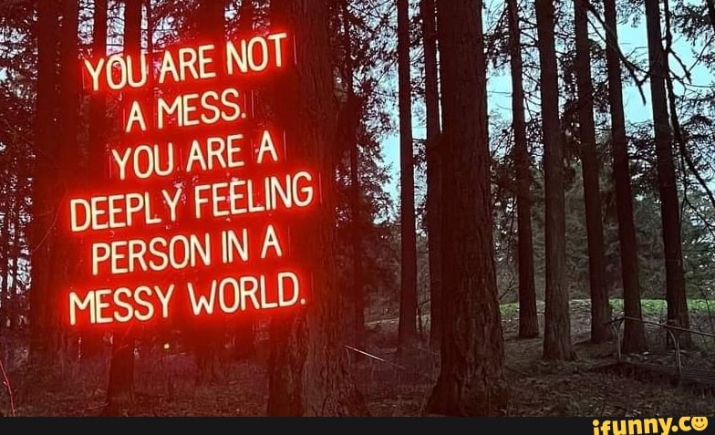 Le MESS. DEEPLY PERSON IN A MESSY WORLD: - iFunny