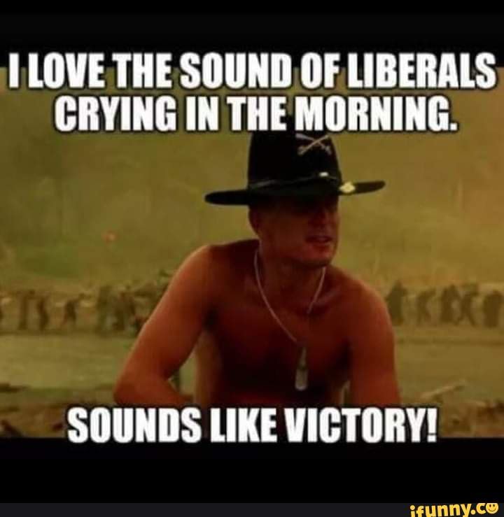 LLOVE THE SOUND OF LIBERALS CRYING IN THE MORNING. SOUNDS LIKE VICTORY ...