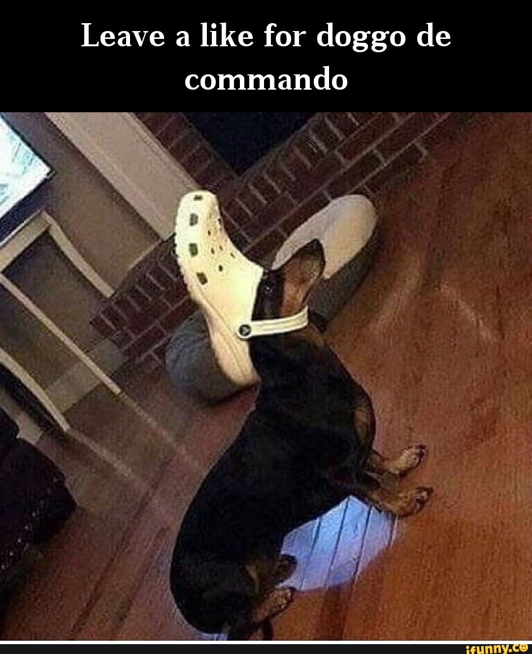 Commando memes. Best Collection of funny Commando pictures on iFunny
