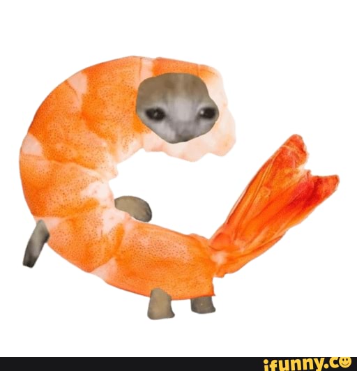 Sad cat shrimp😥 - iFunny