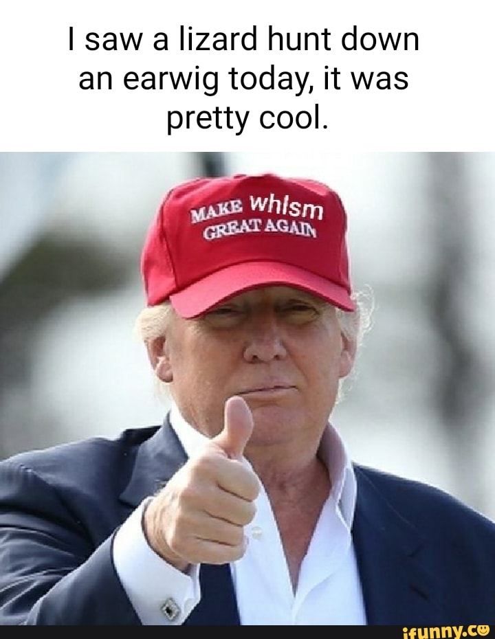 Earwig memes. Best Collection of funny Earwig pictures on iFunny