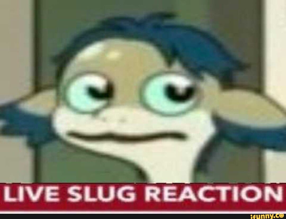 LIVE SLUG REACTION - iFunny