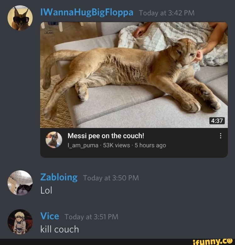 Zabloing memes. Best Collection of funny Zabloing pictures on iFunny