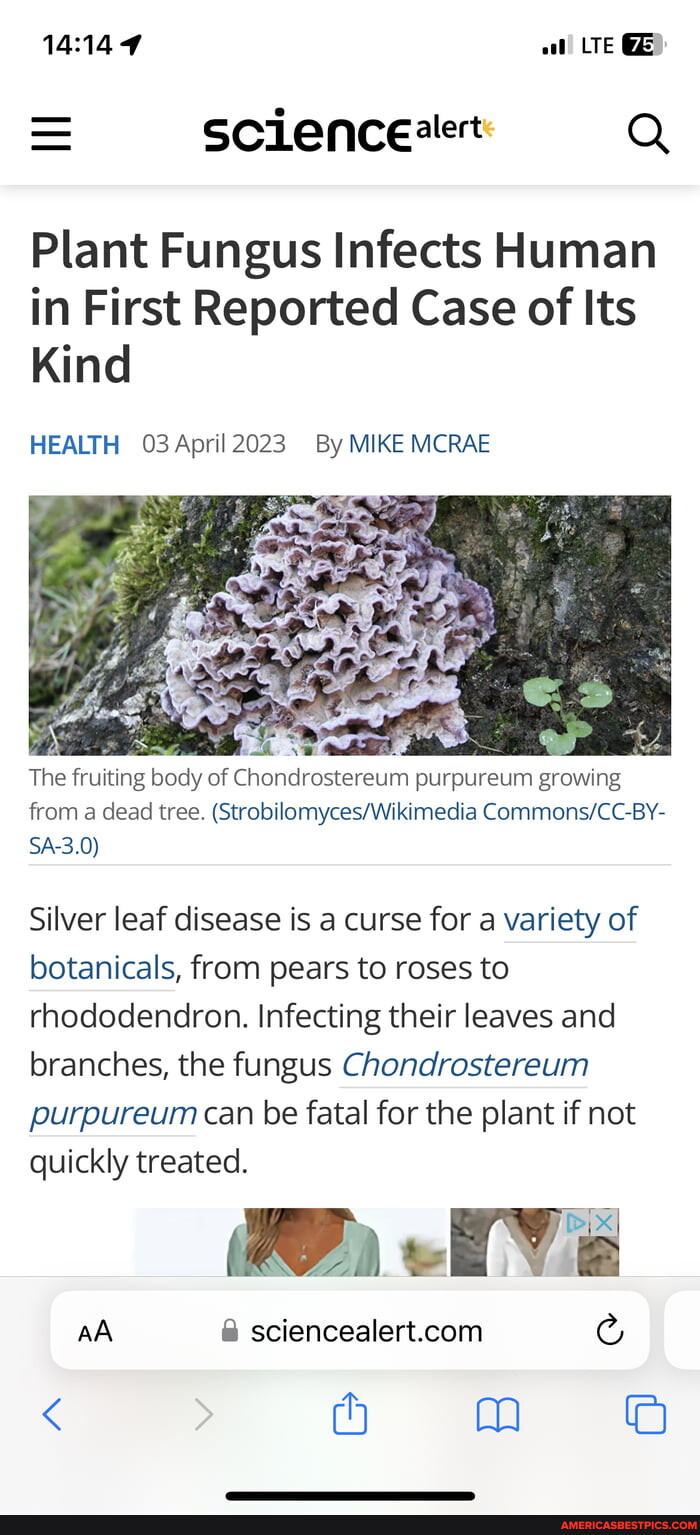 LTE Plant Fungus Infects Human in First Reported Case of Its Kind ...