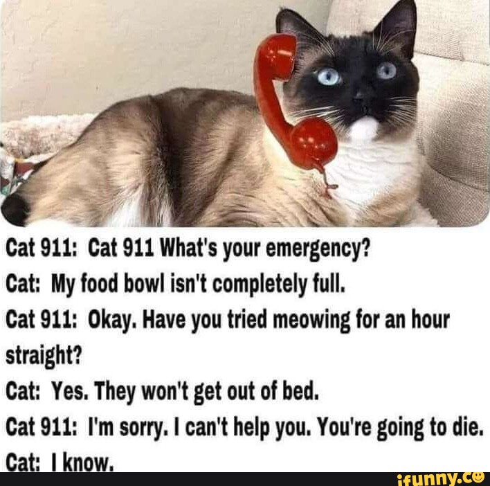 When i die to someone playing the same character as me Til - iFunny