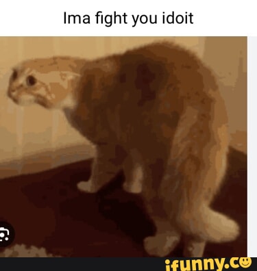 Idoit memes. Best Collection of funny Idoit pictures on iFunny