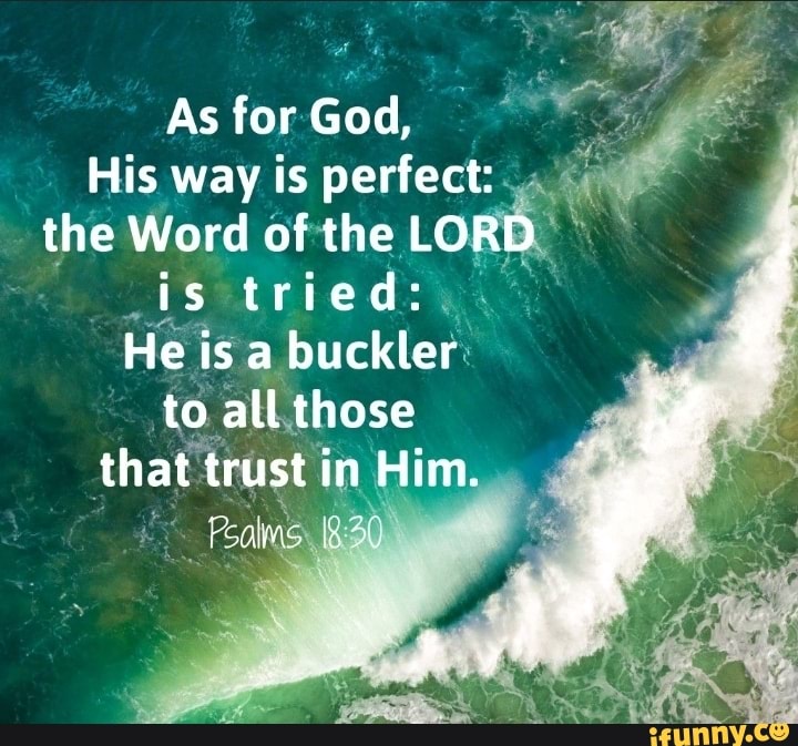 As for God, His way is perfect: the Word of the LORD is tried: He is a ...