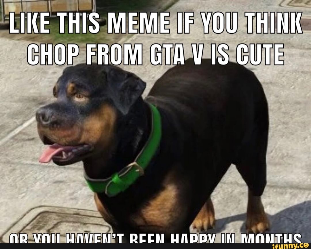 LIKE THIS MEME IF YOU THINK CHOP FROM GTA V IS CUTE NP VOL UNAUCKT ...