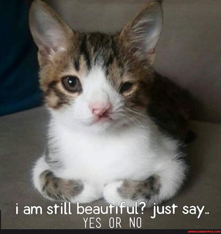 I am still beautiful? just say. WEe - America’s best pics and videos