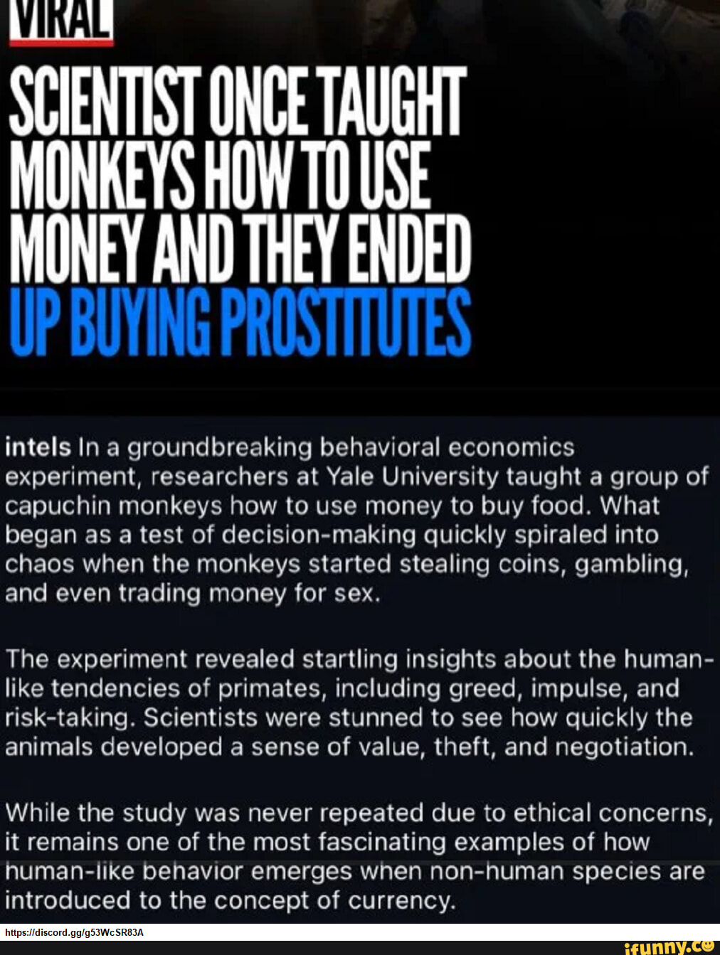 If! SCIENTIST ONCE TAUGHT MONKEYS HOW TO USE MONEY AND THEY ENDED UP ...