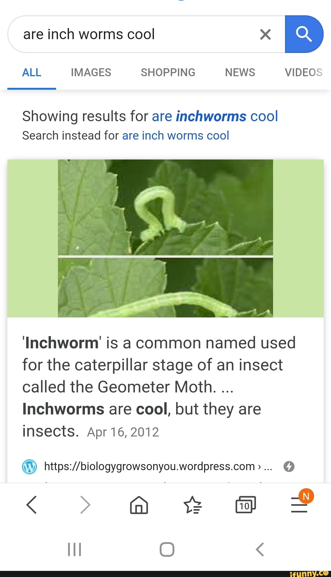 ALL IMAGES SHOPPING NEWS VIDEOS Showing results for are inchworms cool ...
