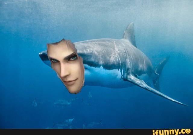 Sharking memes. Best Collection of funny Sharking pictures on iFunny