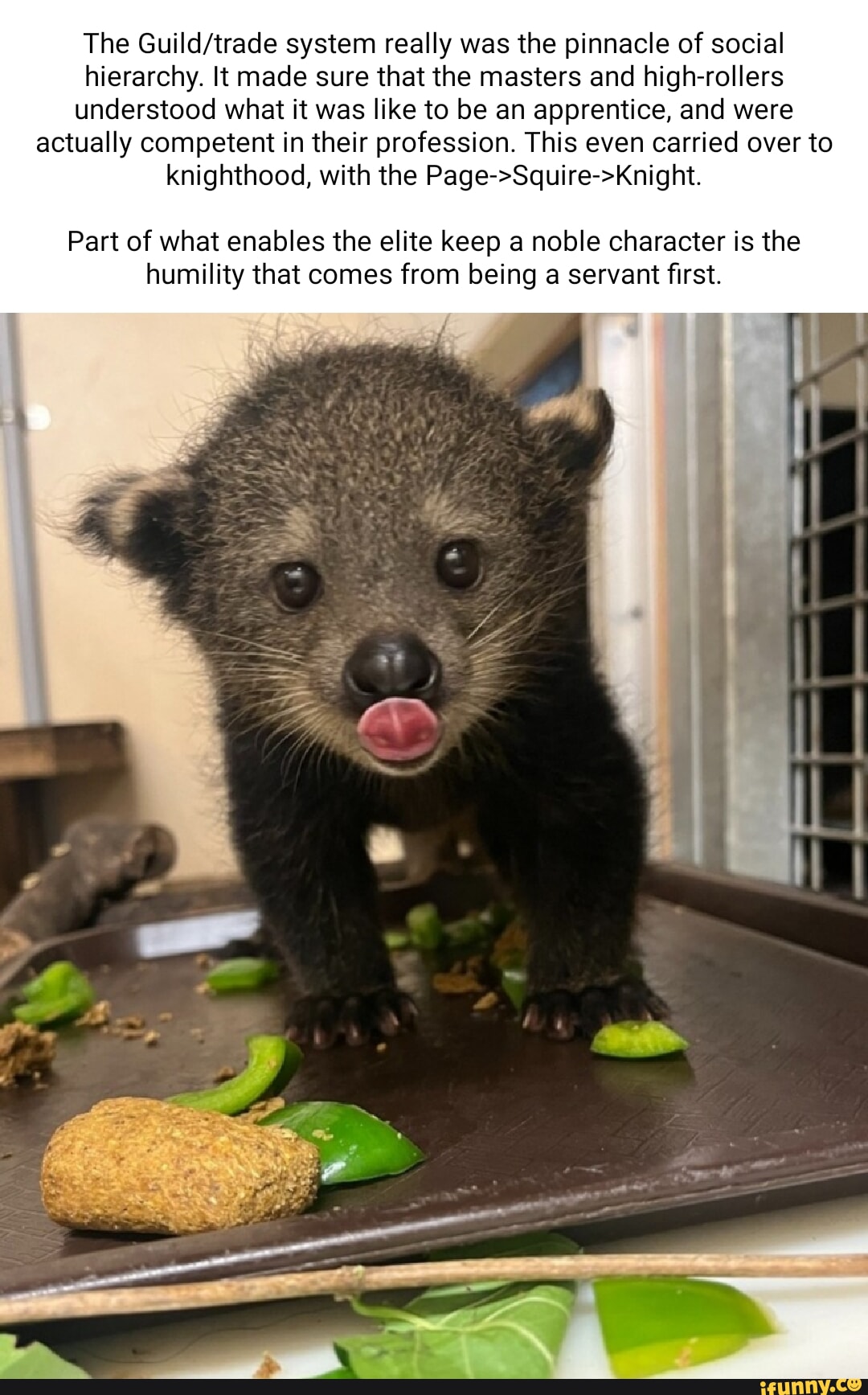 Hierarchy memes. Best Collection of funny Hierarchy pictures on iFunny