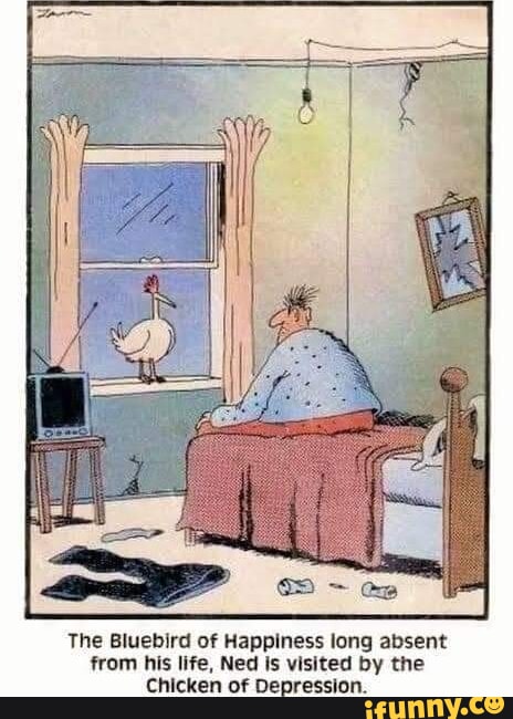 Bluebird memes. Best Collection of funny Bluebird pictures on iFunny