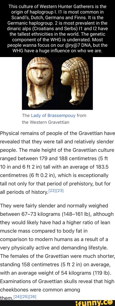 Gatherers memes. Best Collection of funny Gatherers pictures on iFunny