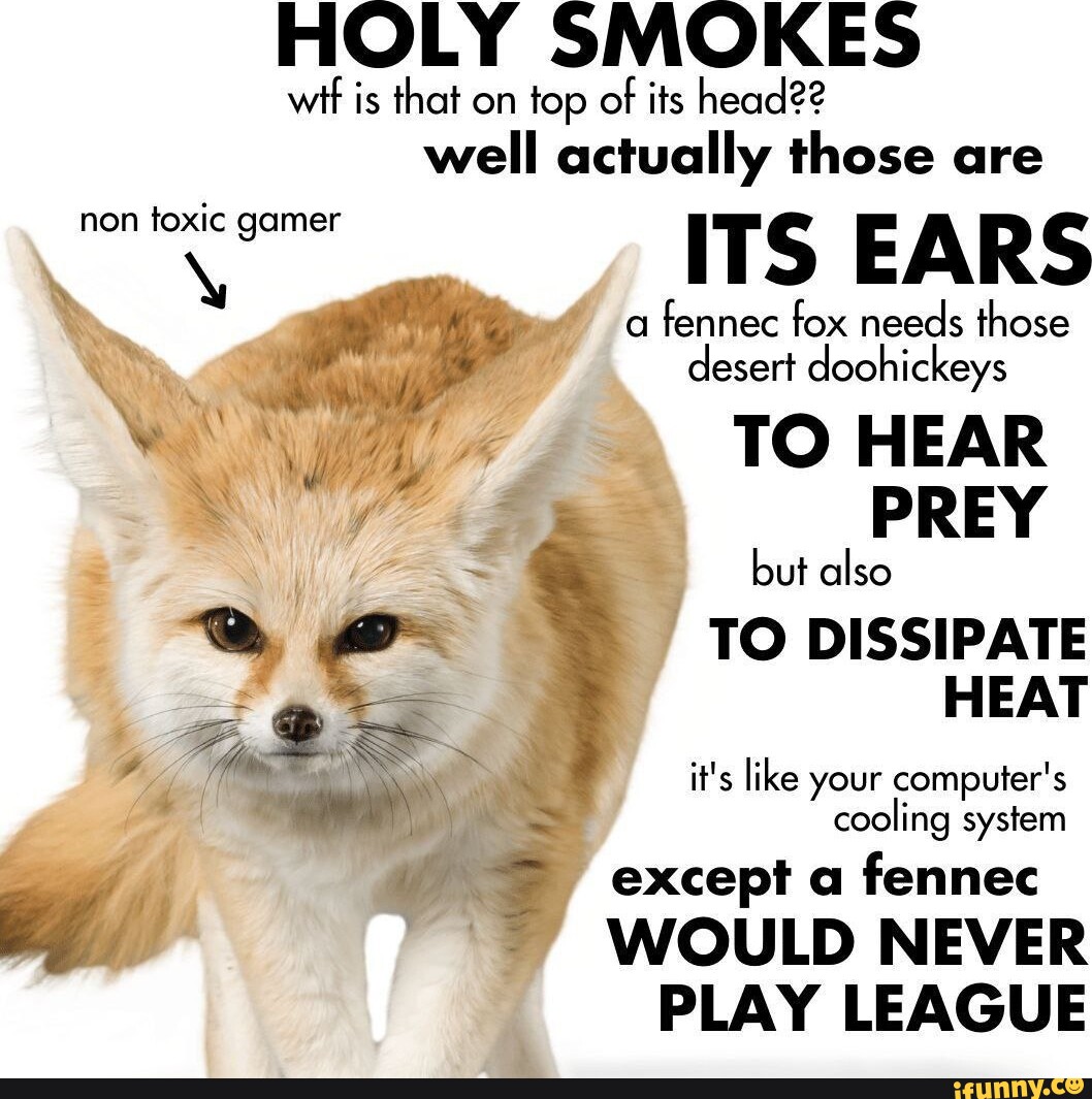 HOLY SMOKES wit is that on top of its head?? well actually those are ...