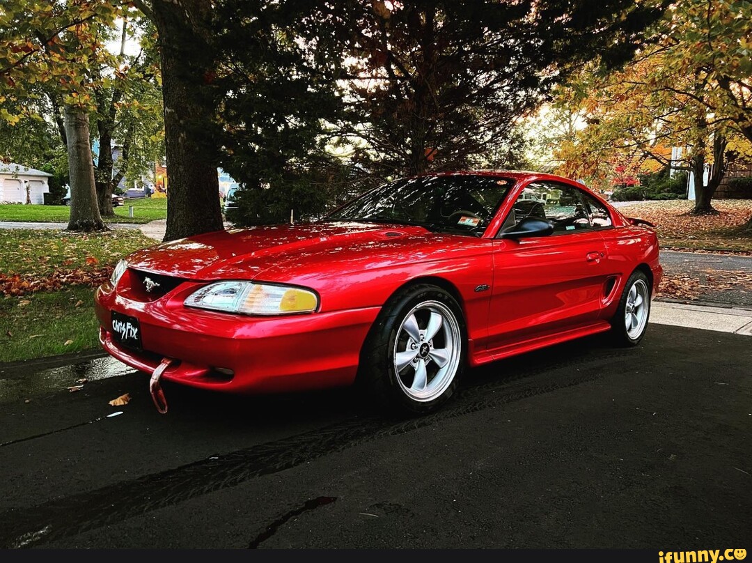 Chrisfix memes. Best Collection of funny Chrisfix pictures on iFunny