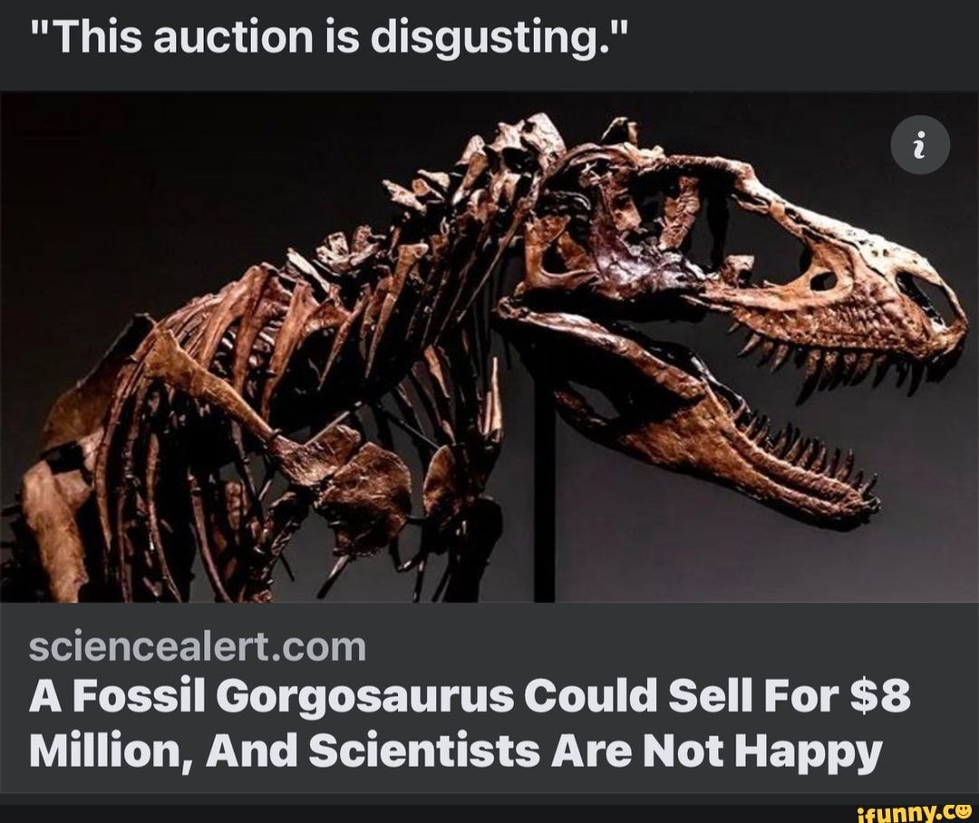 Gorgosaurus memes. Best Collection of funny Gorgosaurus pictures on iFunny
