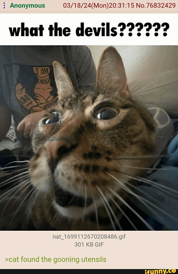 Utensils memes. Best Collection of funny Utensils pictures on iFunny