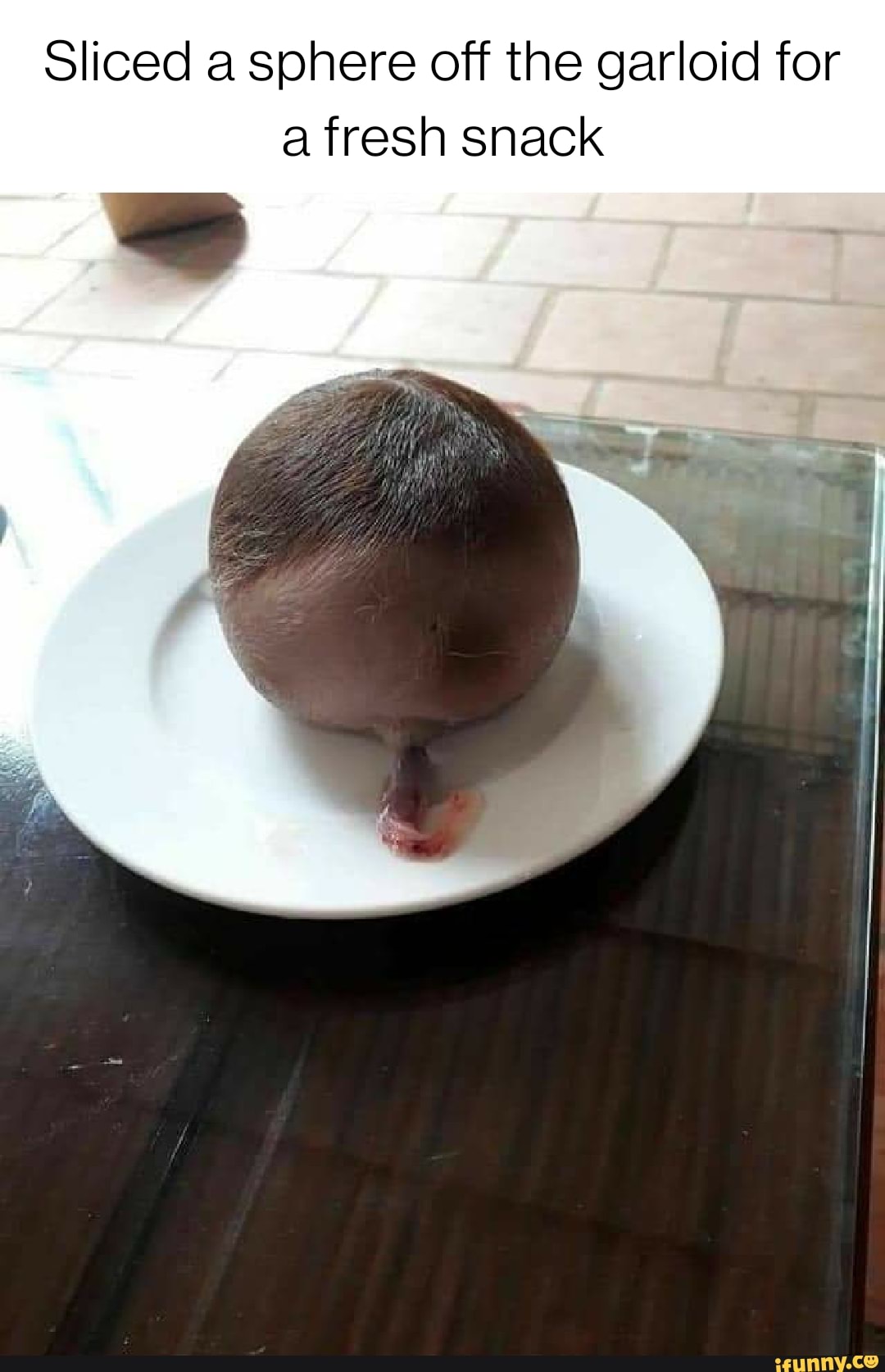 Sliced a sphere off the garloid for a fresh snack - iFunny