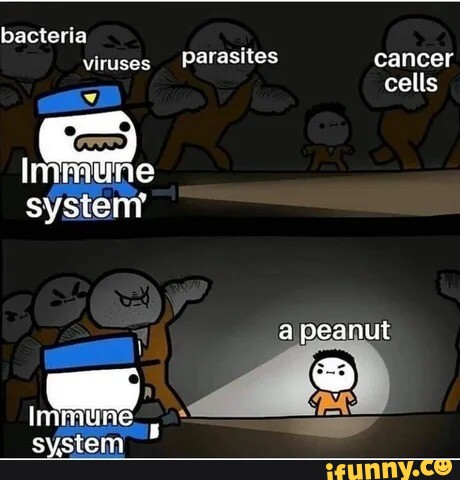 Parasites memes. Best Collection of funny Parasites pictures on iFunny