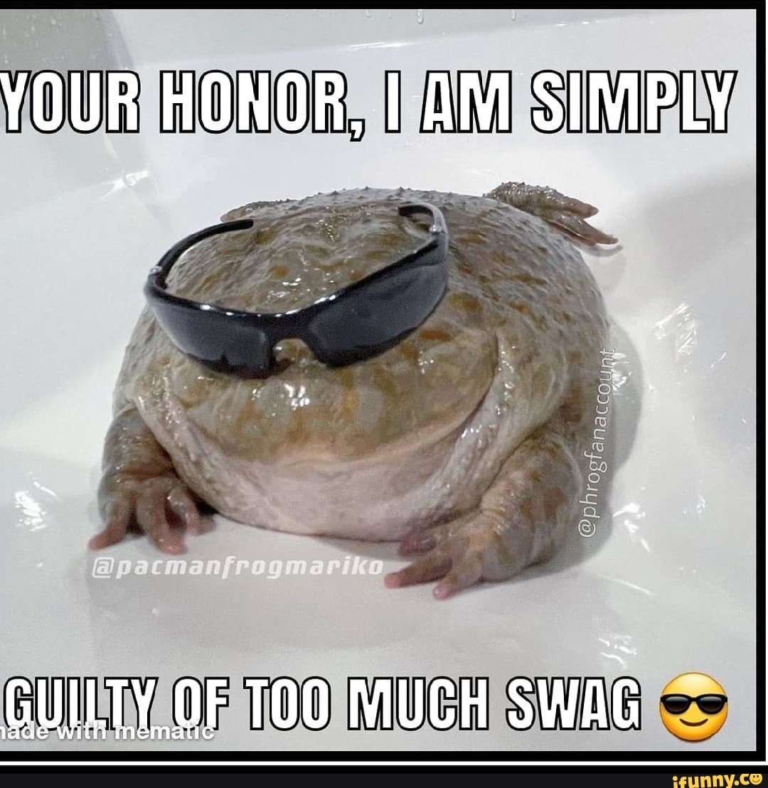 Too Much Swag Meme