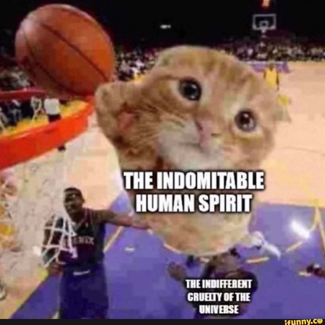 THE INDOMITABLE HUMAN SPIRIT THEISTA EER ENT GORUELTY OF THE UNWVERSE ...