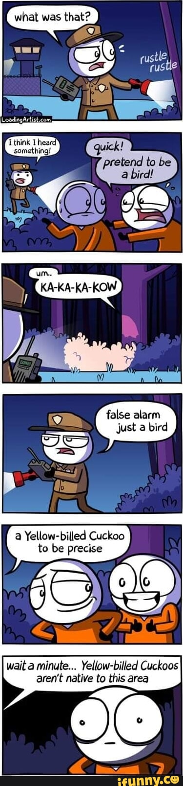 Cuckoo memes. Best Collection of funny Cuckoo pictures on iFunny