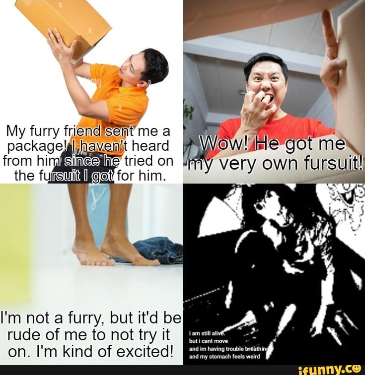 Fursuit memes. Best Collection of funny Fursuit pictures on iFunny