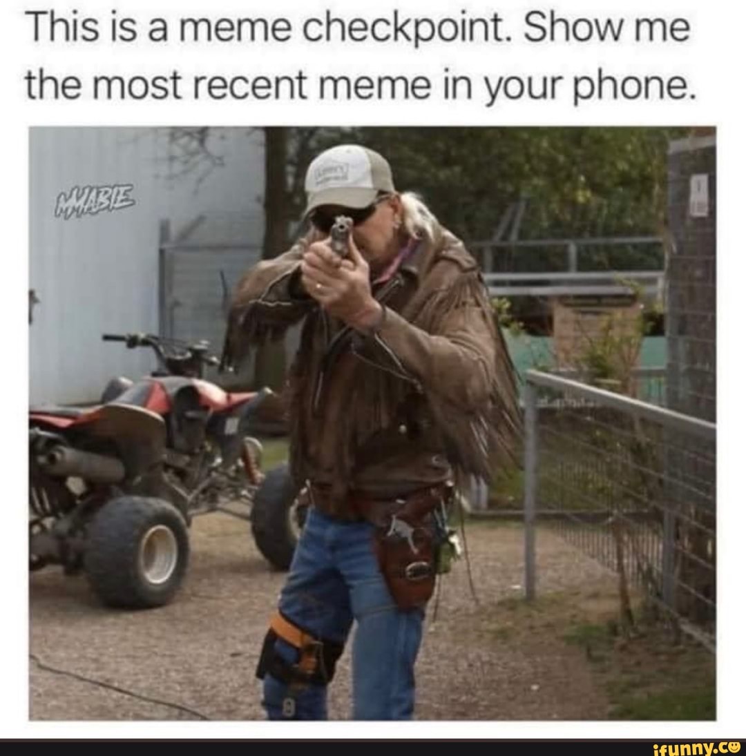 This is meme checkpoint. Show me the most recent meme in your phone ...