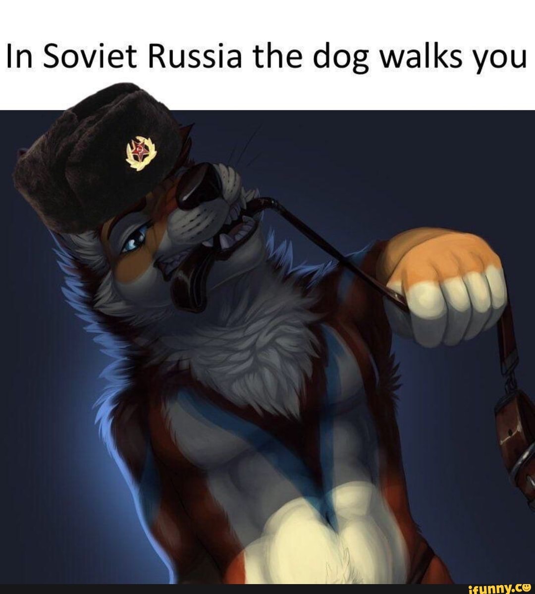 In Soviet Russia the dog walks you - iFunny