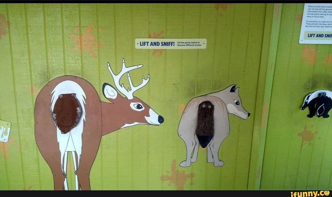 LIFT AND SNIFFE - iFunny Brazil