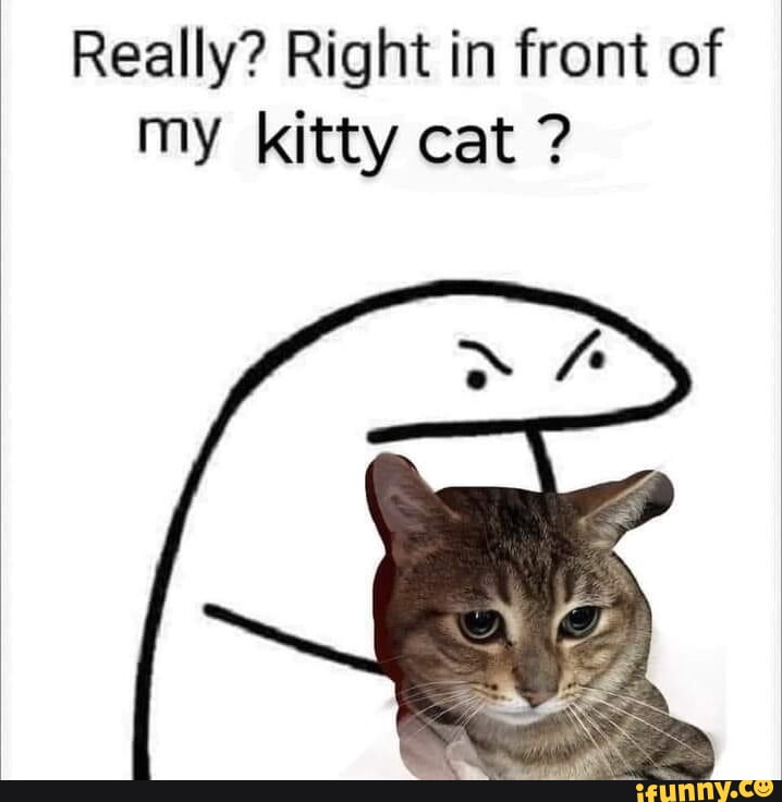 Really? Right in front of my kitty cat ? - iFunny