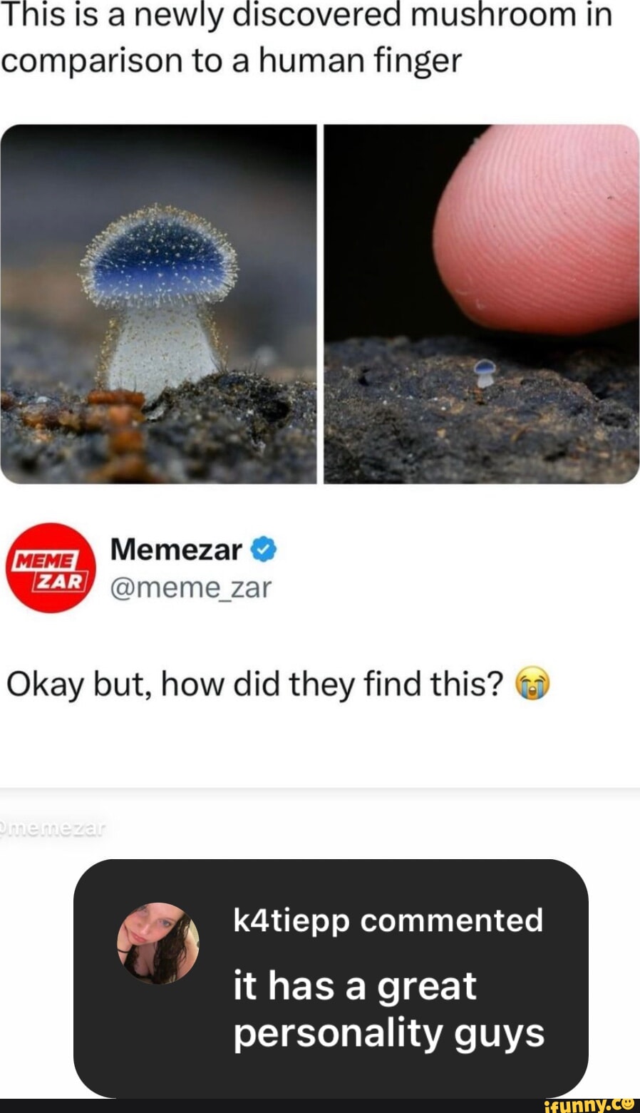 This is newly discovered musnroom in comparison to a human finger (MEME ...
