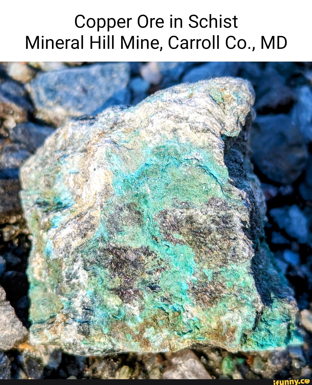 Schist memes. Best Collection of funny Schist pictures on iFunny