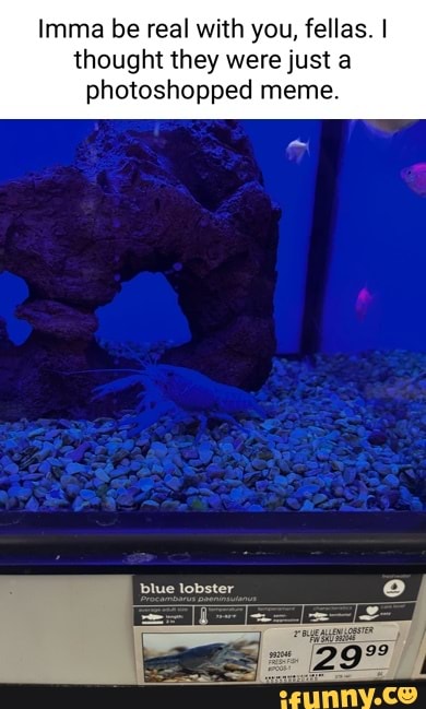 Imma be real with you, fellas. I thought they were just a photoshopped ...