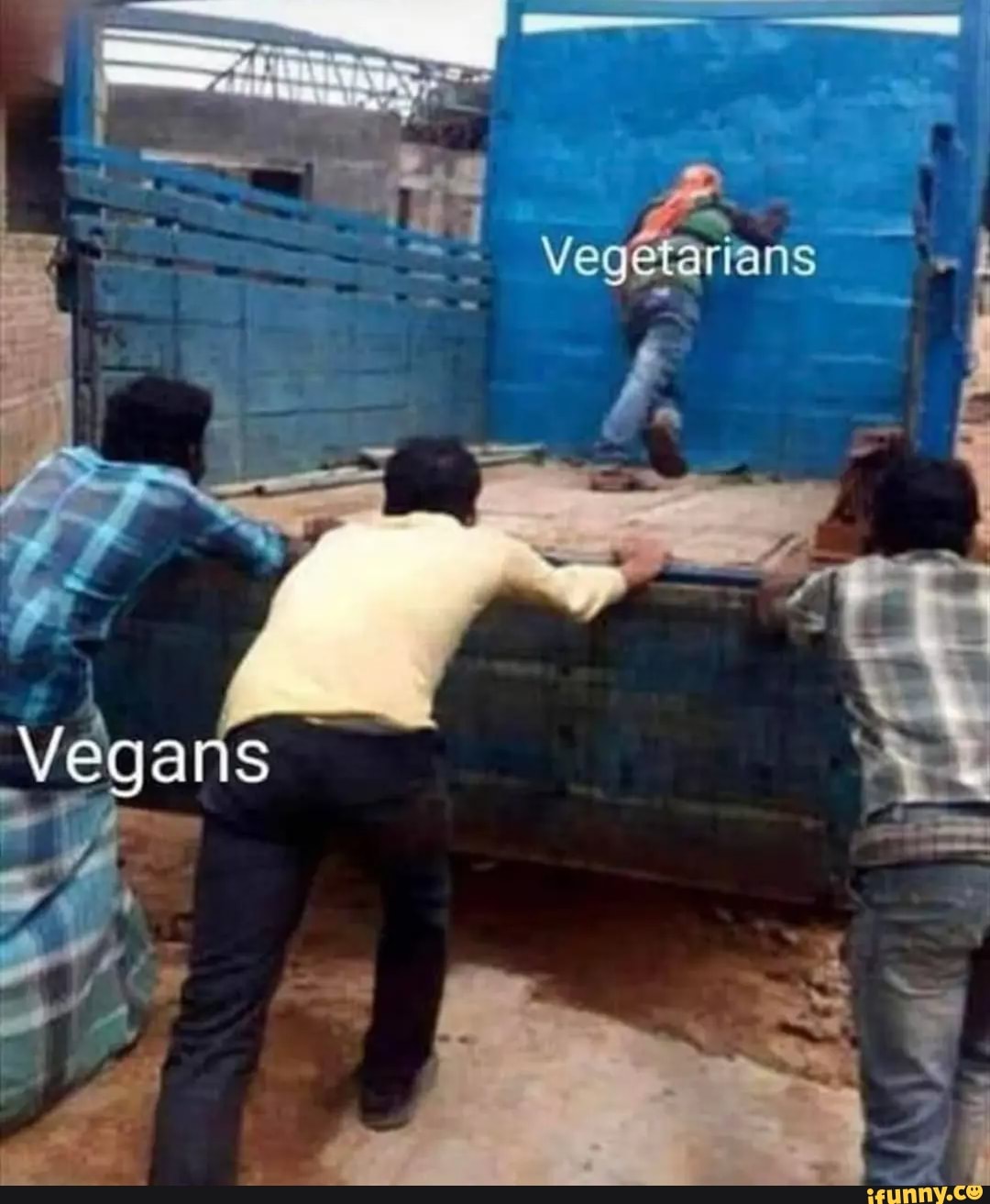 Fein memes. Best Collection of funny Fein pictures on iFunny