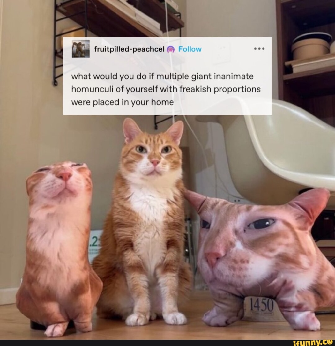 Rollow what would you do if multiple giant inanimate homunculi of ...