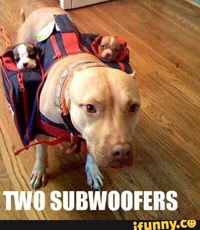 Subwoofers memes. Best Collection of funny Subwoofers pictures on iFunny
