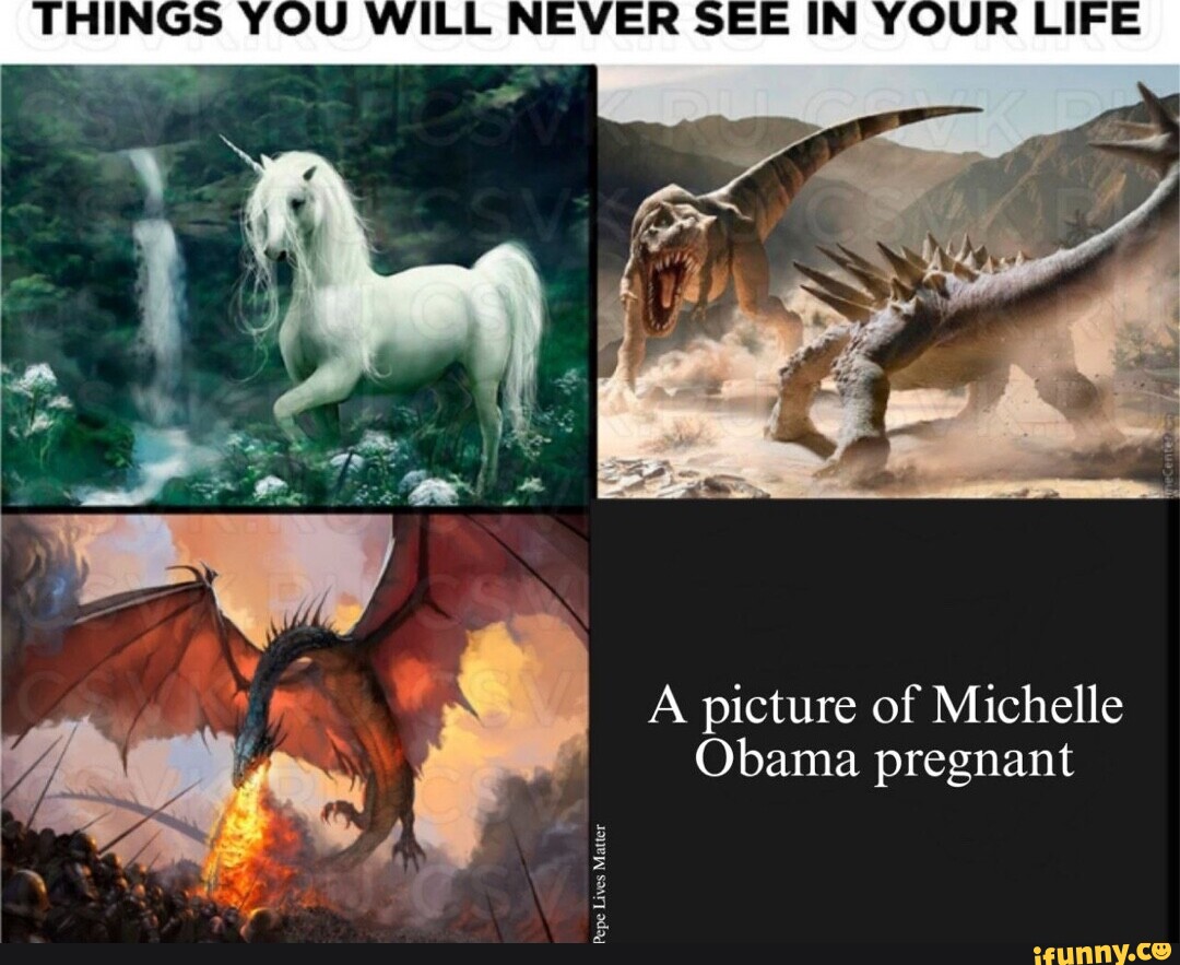 WOW) UN A picture of Michelle Obama pregnant Pepe Matter Matter Lives ...