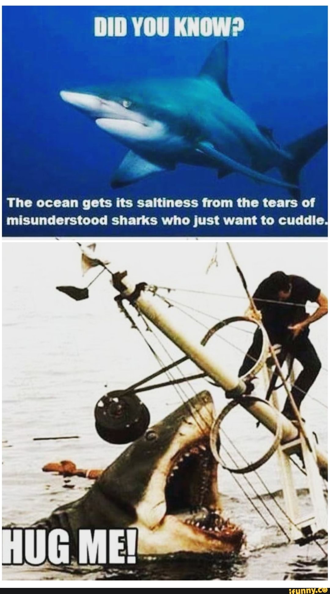 DID YOU KNOW? The ocean gets its saltiness from the tears of ...