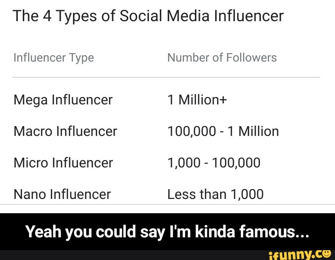 The 4 Types of Social Media Influencer Influencer Type Number of ...
