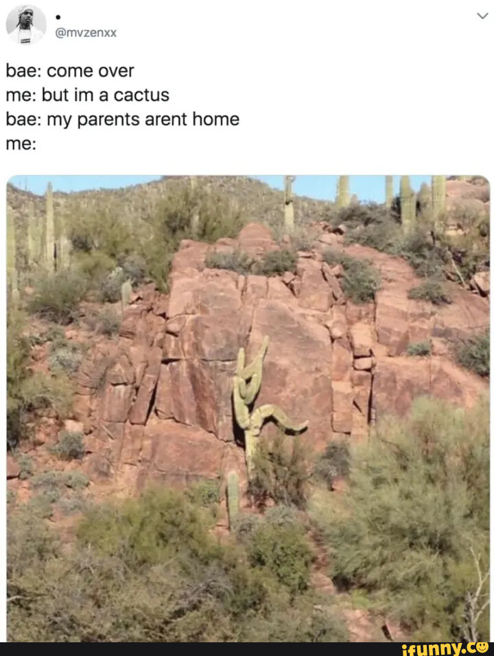 Heh - bae: come over me: but im a cactus bae: my parents arent home me ...