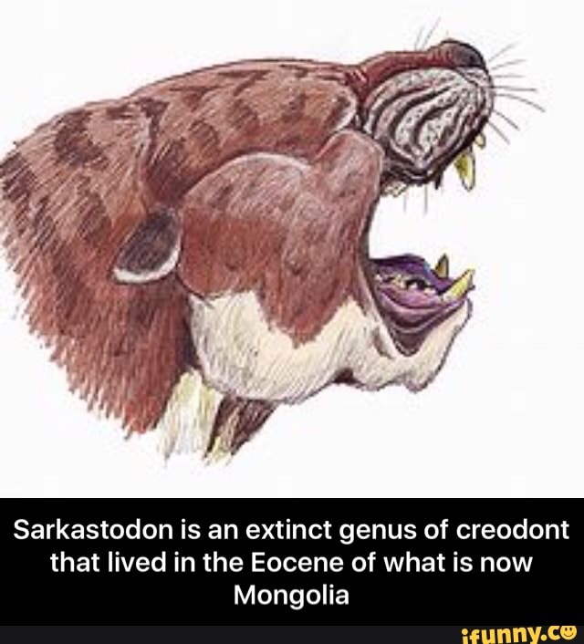 Sarkastodon memes. Best Collection of funny Sarkastodon pictures on iFunny