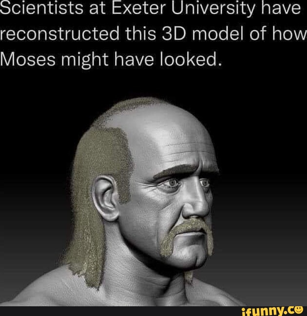 Scientists at Exeter University have reconstructed this model of how ...