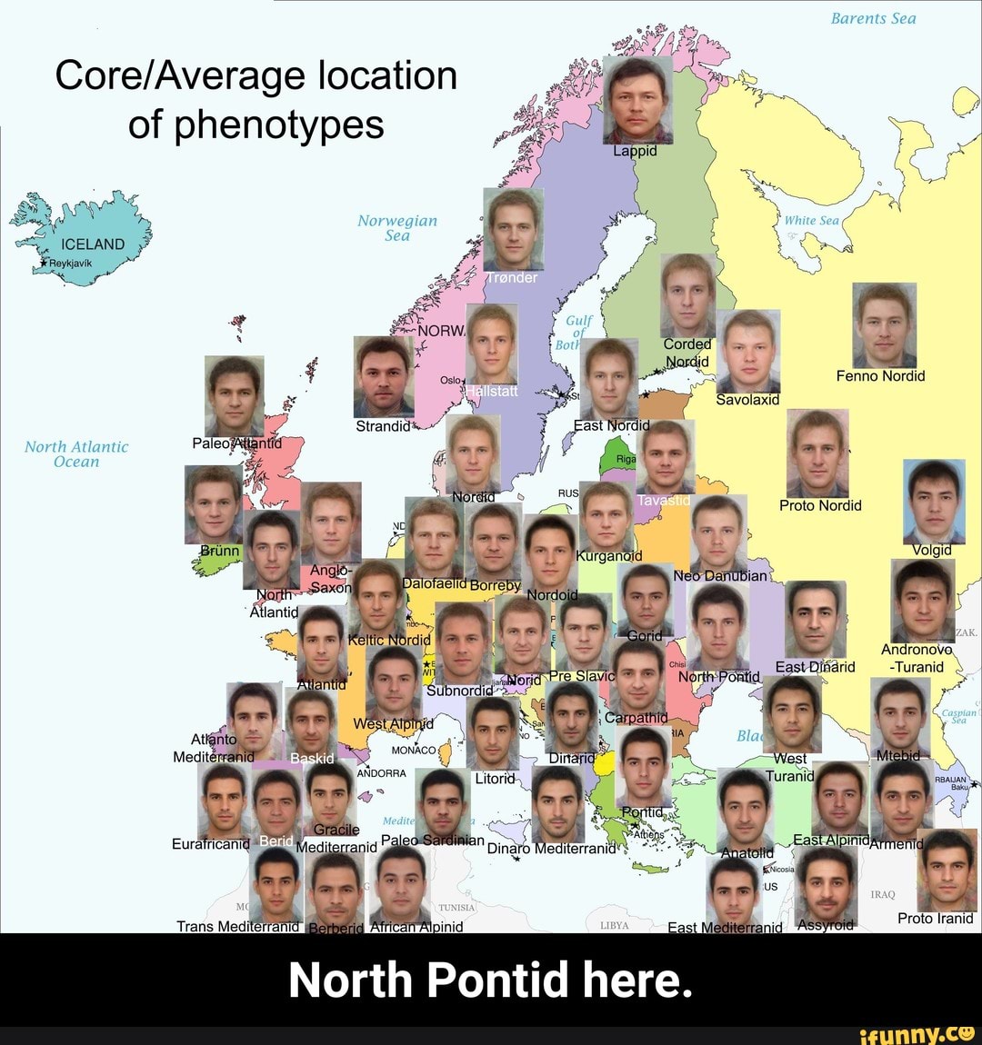 Core/Average location of phenotypes - North Pontid here. - iFunny
