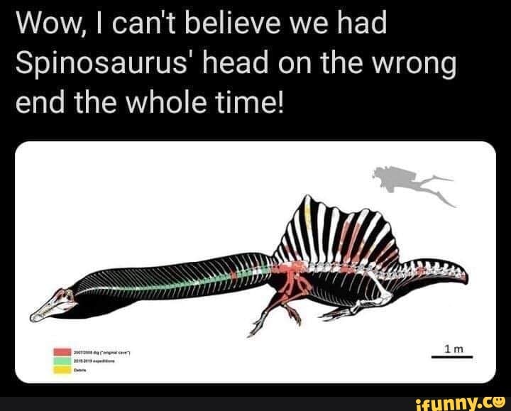 Spinosaurus memes. Best Collection of funny Spinosaurus pictures on iFunny