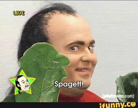 Spaghet memes. Best Collection of funny Spaghet pictures on iFunny