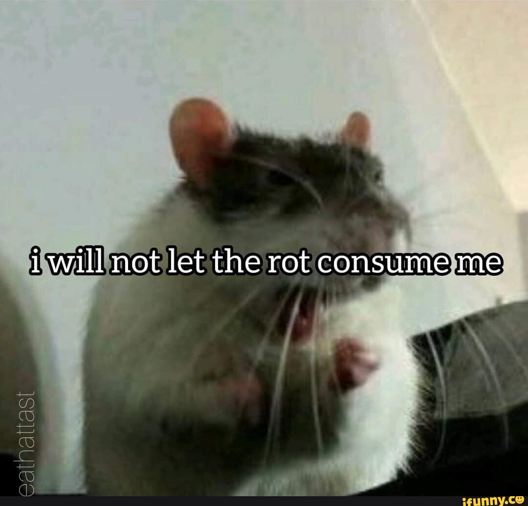 I will not let the rot consume me sathattast - iFunny