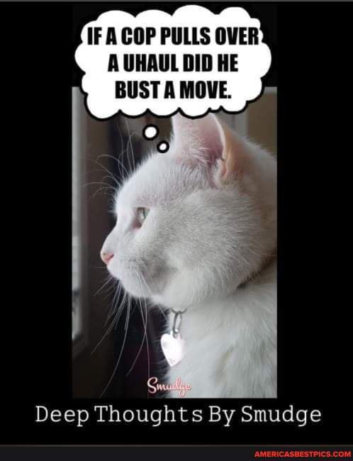 IFA COP PULLS OVER AUHAUL DID HE BUST A MOVE. Deep Thoughts By Smudge - America’s best pics and ...